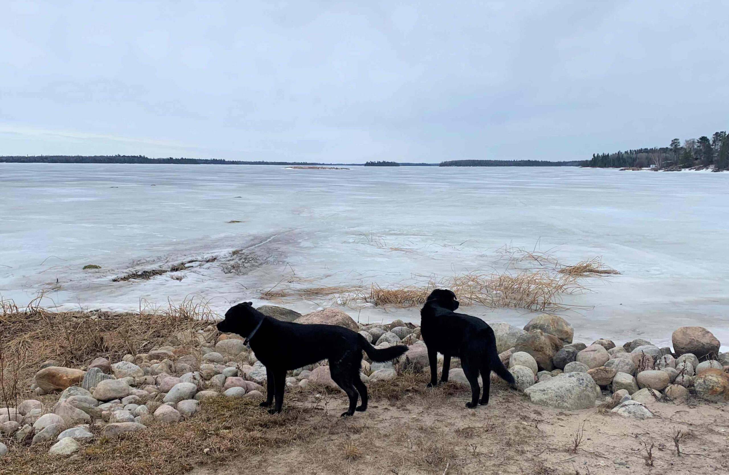 Ice Out 2023: Update #5 - Vermillion Bay Lodge