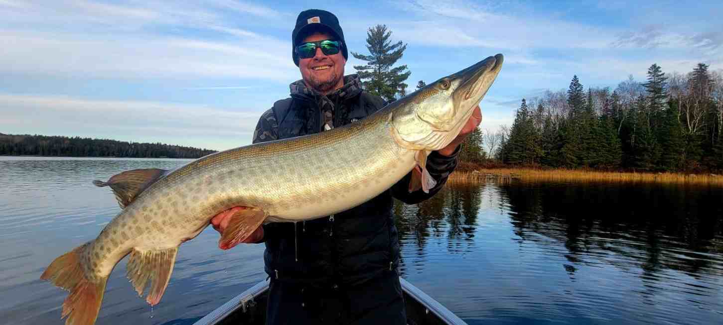 Fall Musky Anyone? - Vermillion Bay Lodge