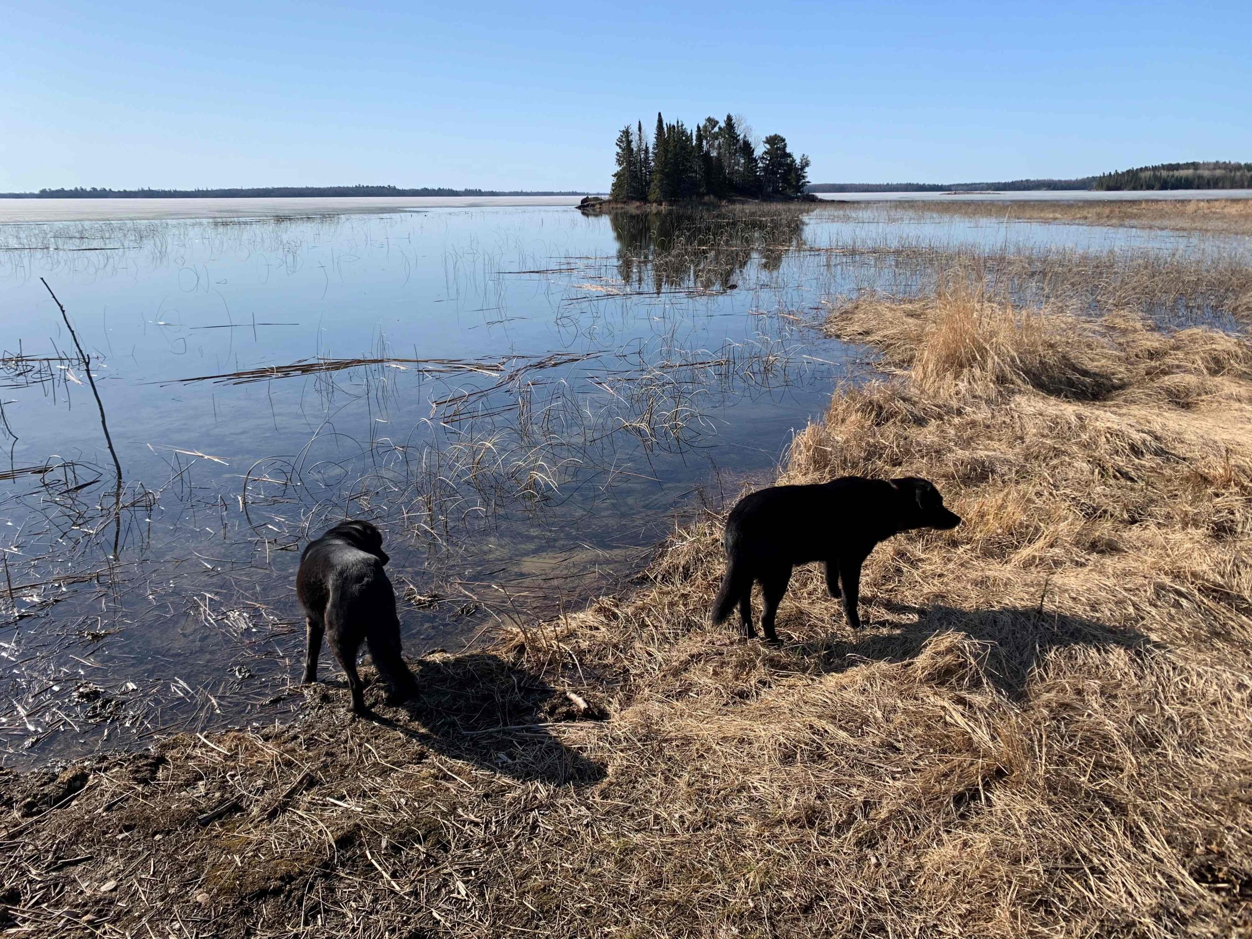 Ice Out Contest: Final Update - Vermillion Bay Lodge